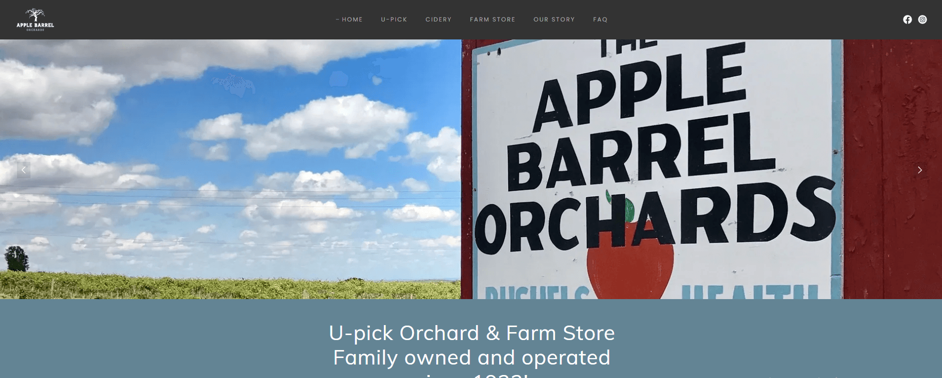 23 Apple Picking in NEW YORK (Bountiful, Satisfying & Fun)