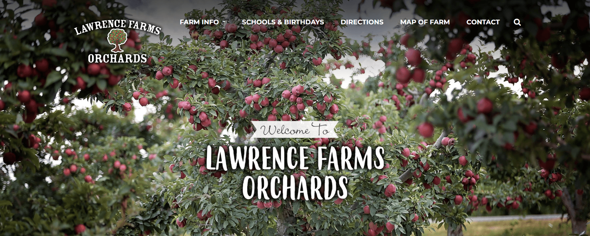 23 Apple Picking in NEW YORK (Bountiful, Satisfying & Fun)