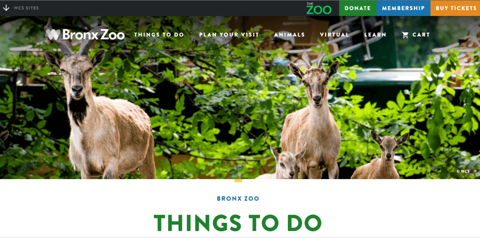 23 Safari In NEW YORK (Mesmerizing, Educational, & Fun)