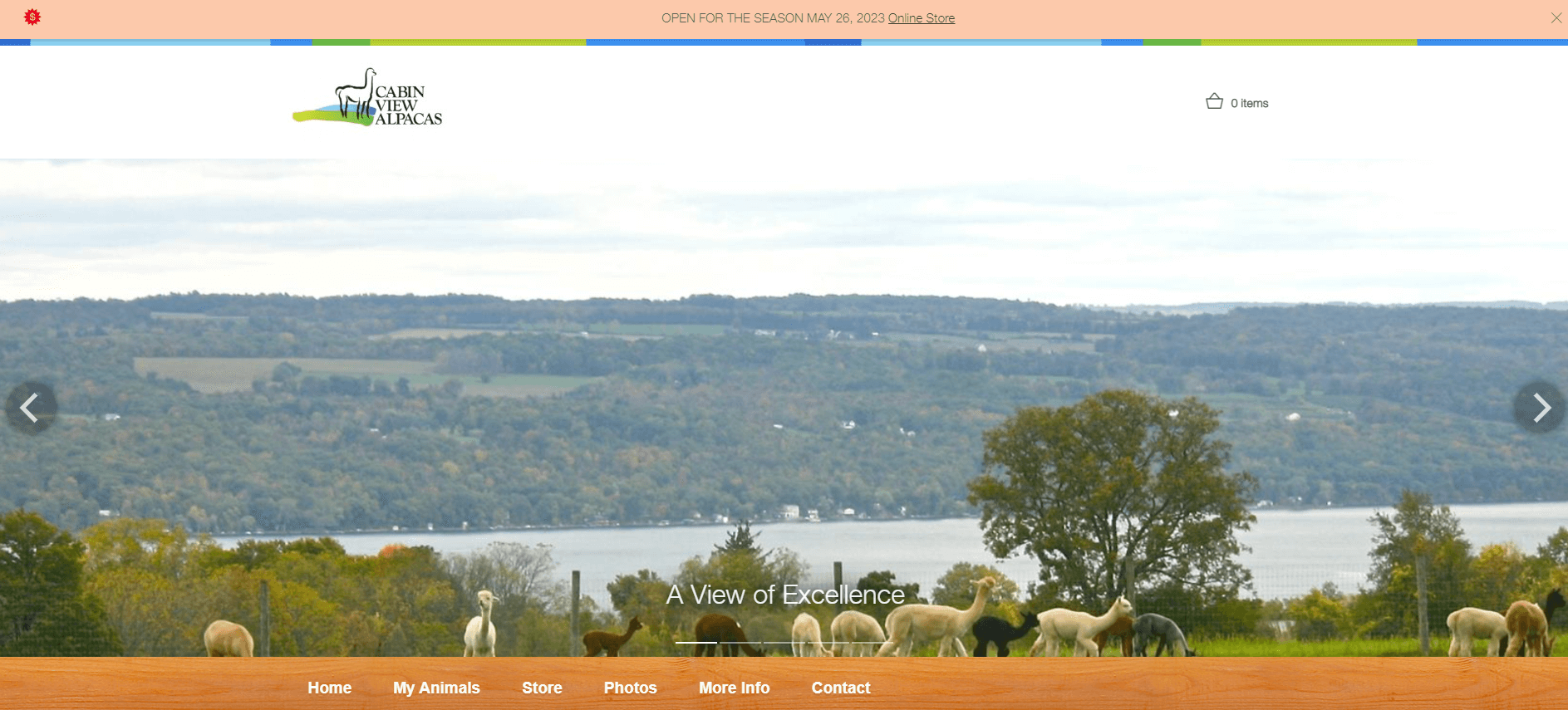 23 Alpaca Farms in NEW YORK (Beautiful, Satisfying, & Fun)
