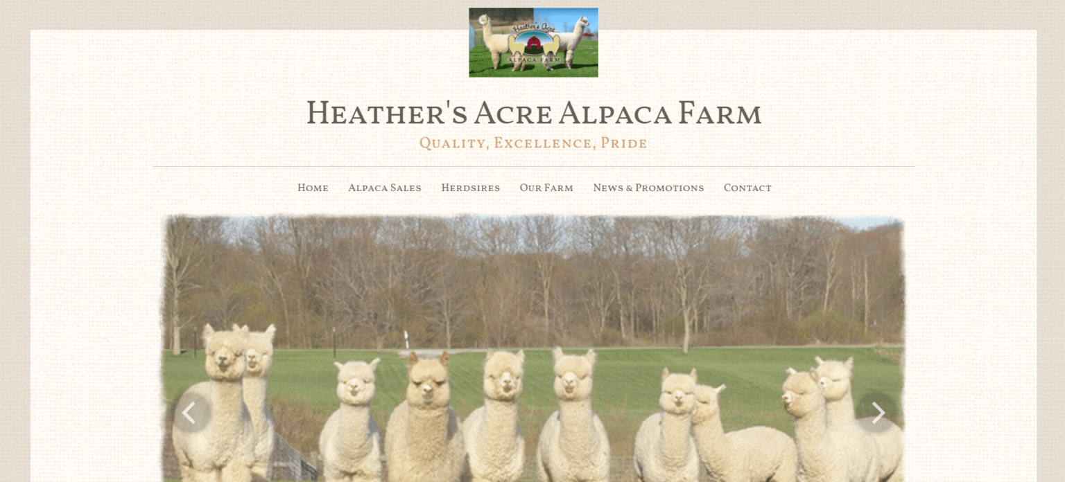 23 Alpaca Farms in NEW YORK (Beautiful, Satisfying, & Fun)
