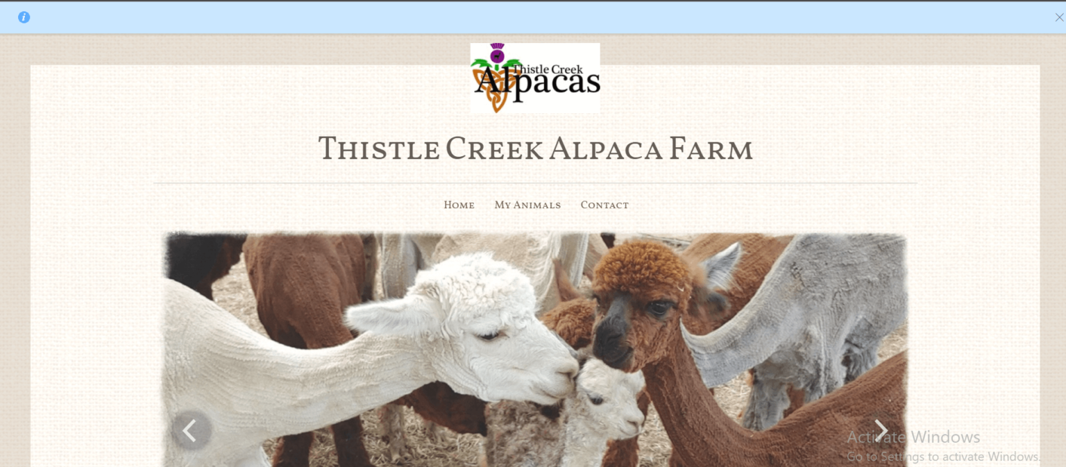 23 Alpaca Farms in NEW YORK (Beautiful, Satisfying, & Fun)